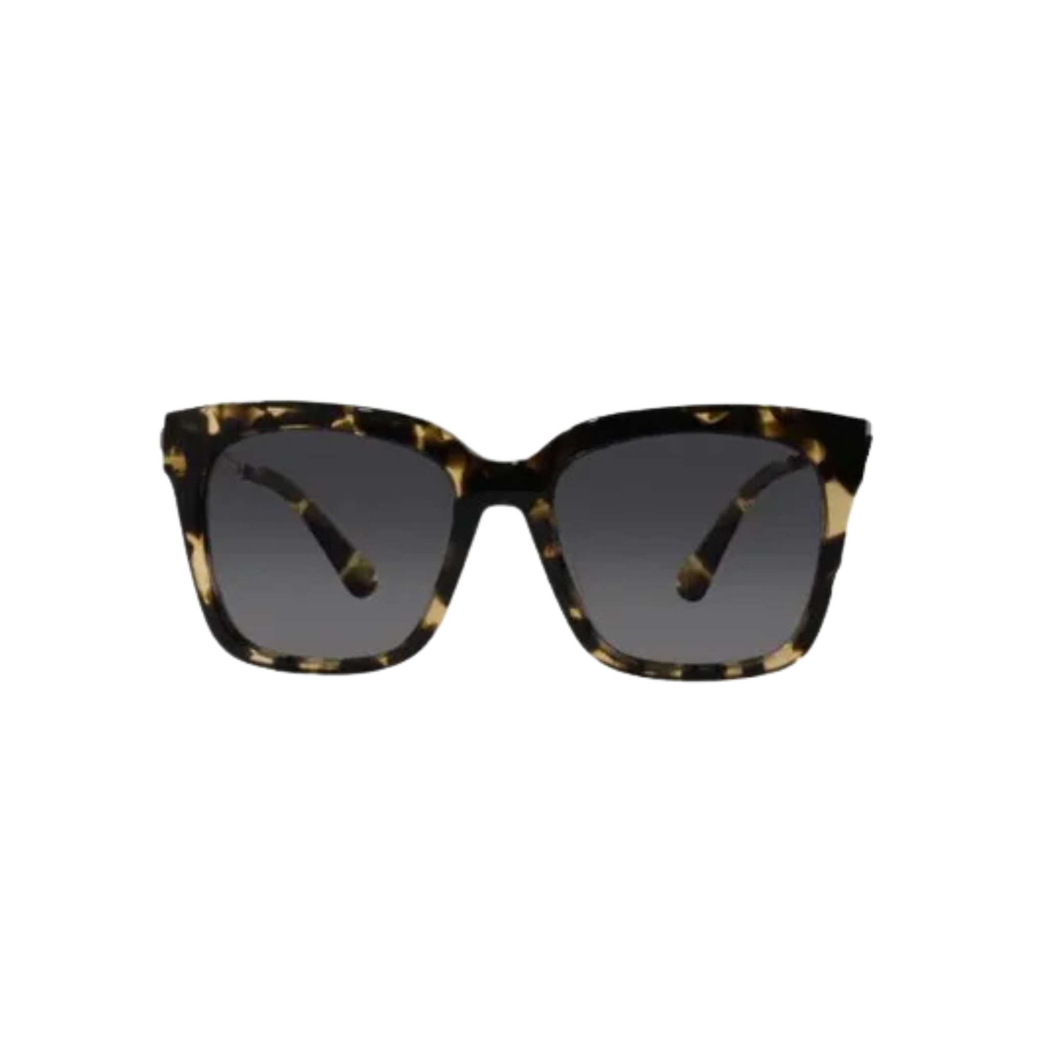 Windsor Stainless Steel Shades-TORTOISE-(FEMALE) – BHADRA'S